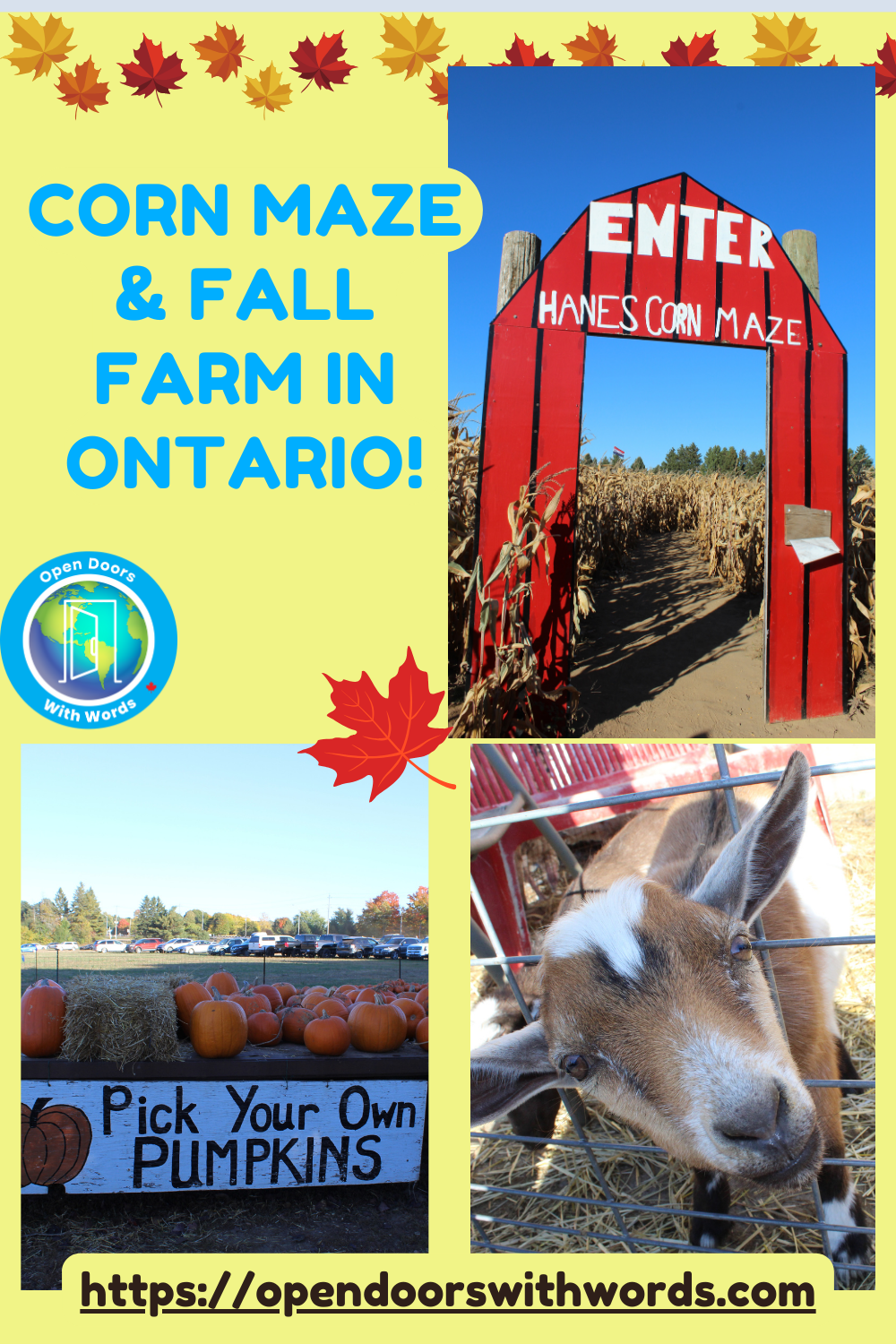 Corn Maze & Fall Farm in Ontario 🌽| Open Doors With Words